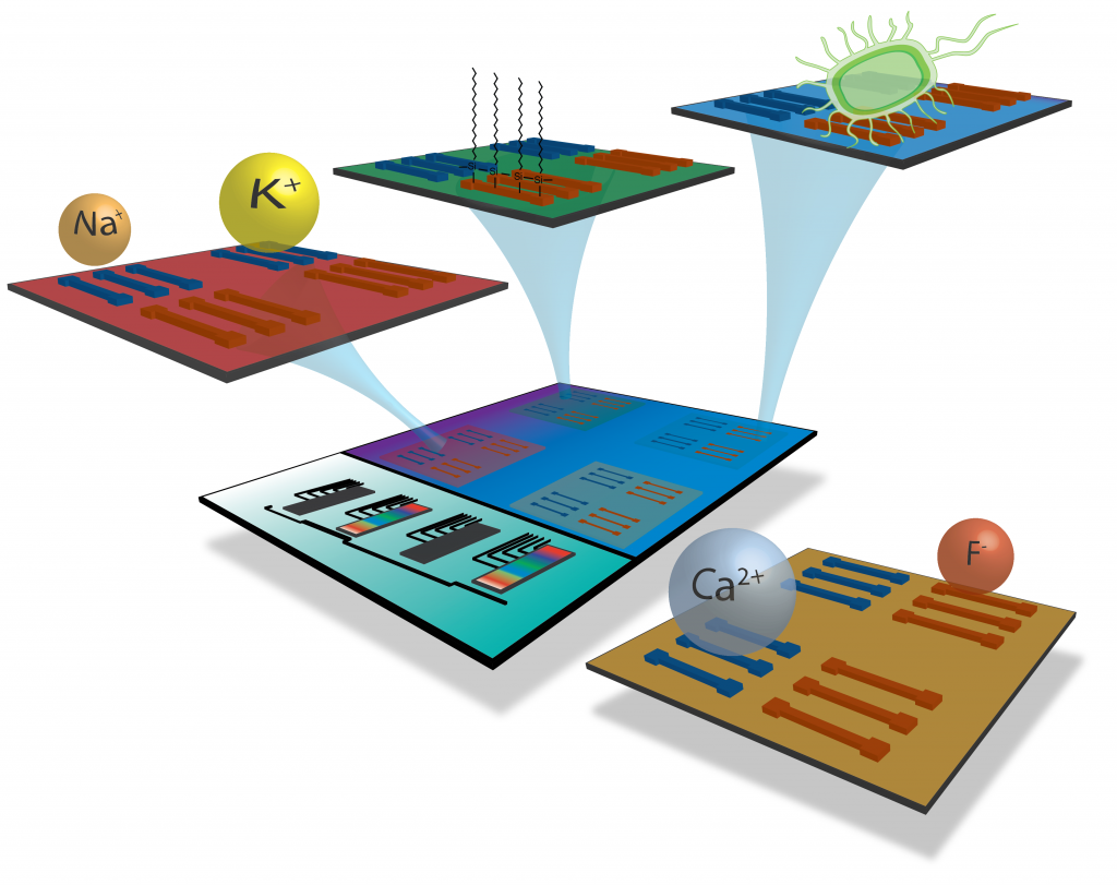 Silicon Nanowires for Sensing – Nanoscale Hybrid Electronic Systems